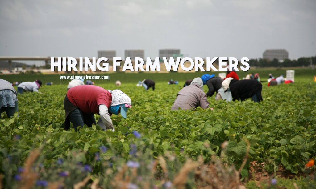 Japan Hiring: General Crop Farmers under Hayya International Services ...