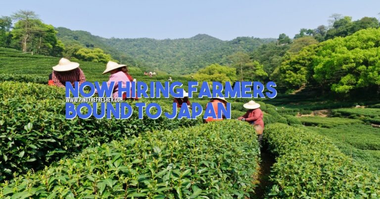 Japan Hiring: Farmers for Wonderful International Services Incorporated ...