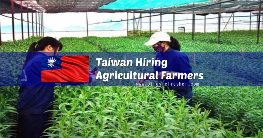 Taiwan Urgent Hiring Agricultural Farmers under City Employment Center ...