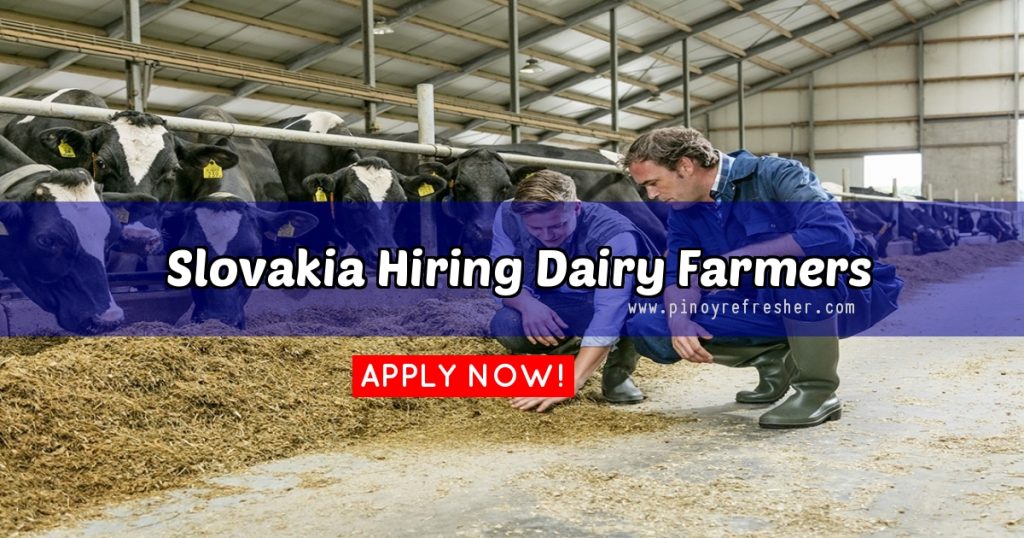 Exciting Job Opportunity: Dairy Farmers Needed for Slovakia