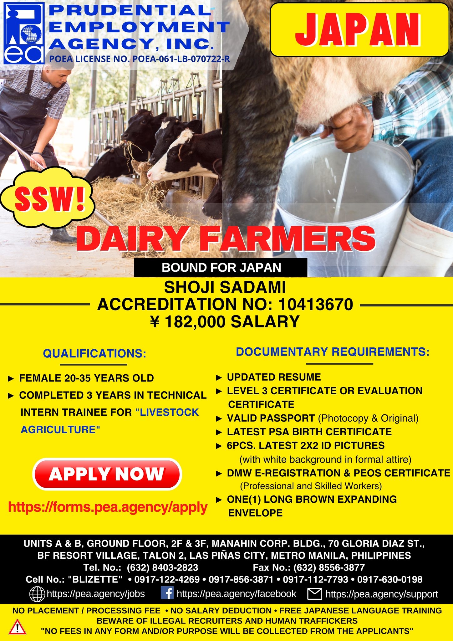 Dairy Farmer Jobs in Japan Open for Filipino Women, Offers Competitive ...