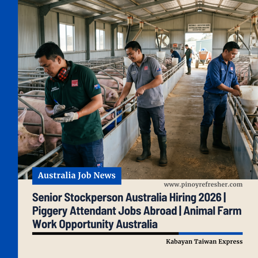Senior Stockperson Australia Hiring 2026 | Piggery Attendant Jobs ...