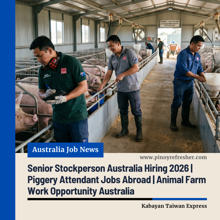 Senior Stockperson Australia Hiring 2026 | Piggery Attendant Jobs ...